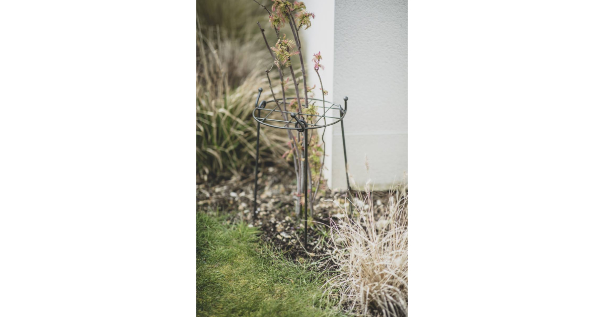 Kovová opora pro rostliny Charlbury 60x30 cm | Elarte