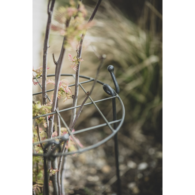 Kovová opora pro rostliny Charlbury 60x30 cm | Elarte